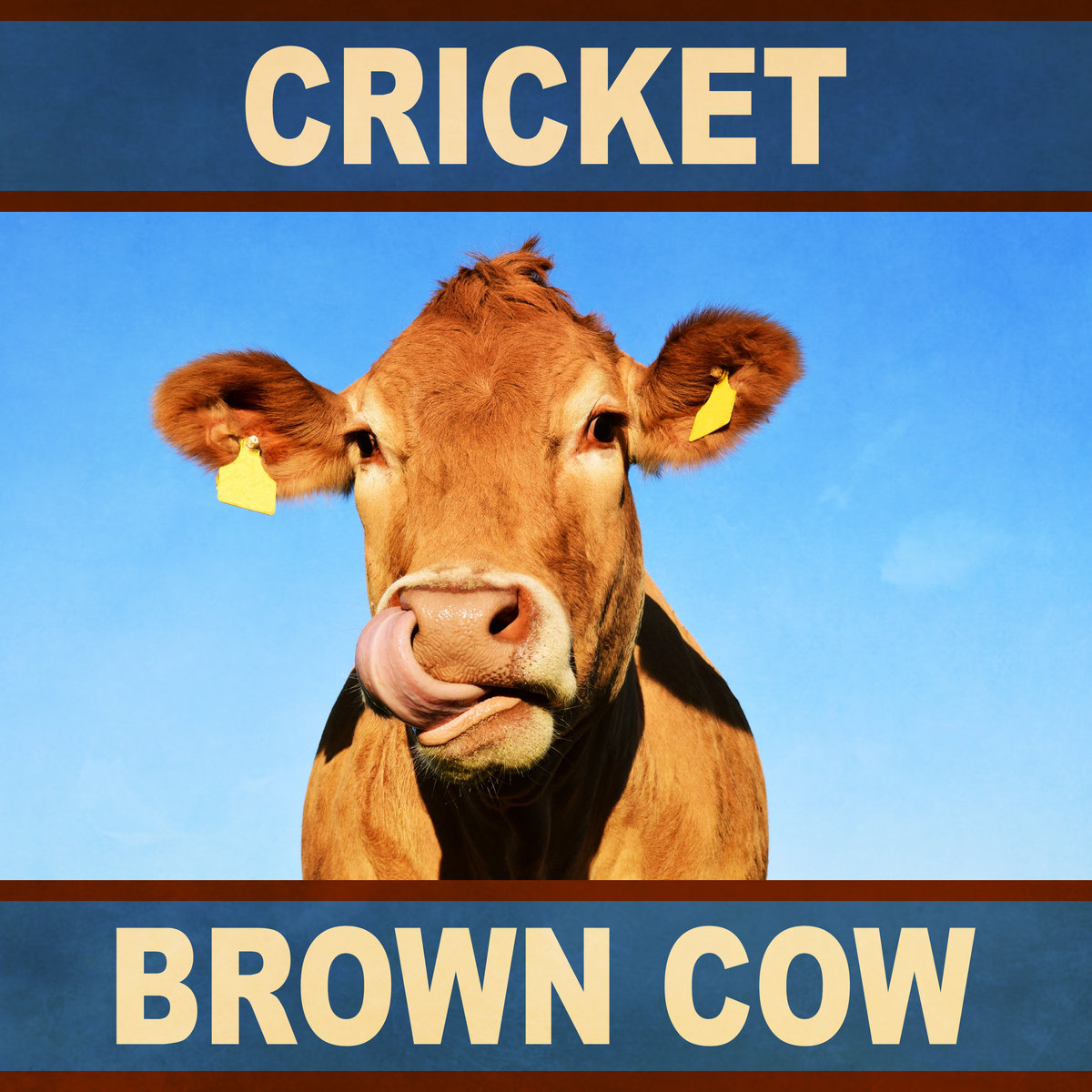 Foundations Vol. 6 (Cricket - Brown Cow) | Huntingtons