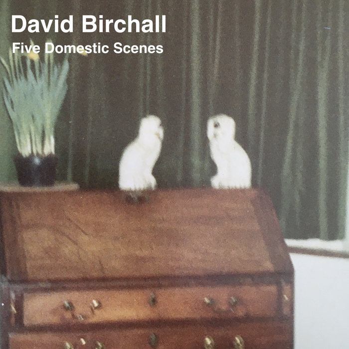 Five Domestic Scenes | David Birchall