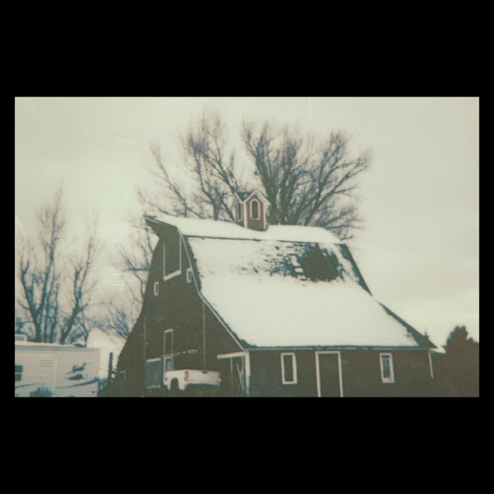 vicarious life | the apology club