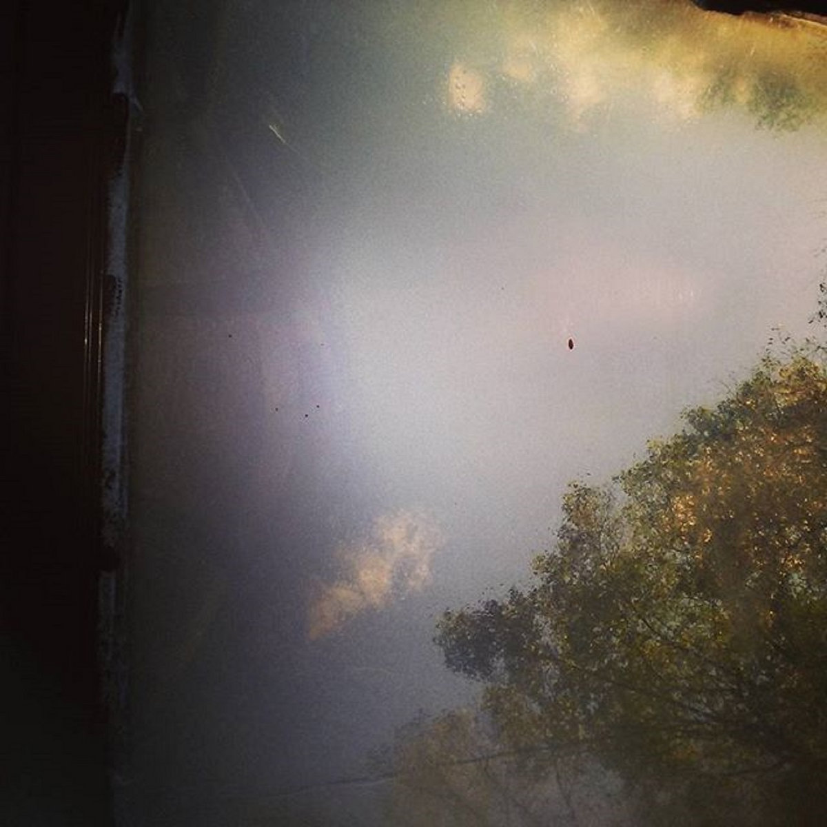 New Sketches | Tim Neil