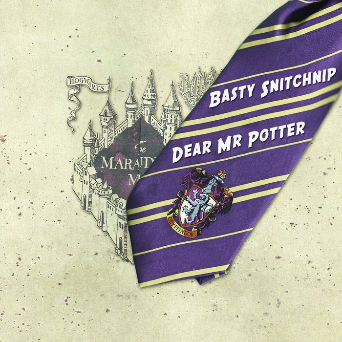 Dear Mr Potter (Single) | Basty Snitchnip | Bastien Lenoir