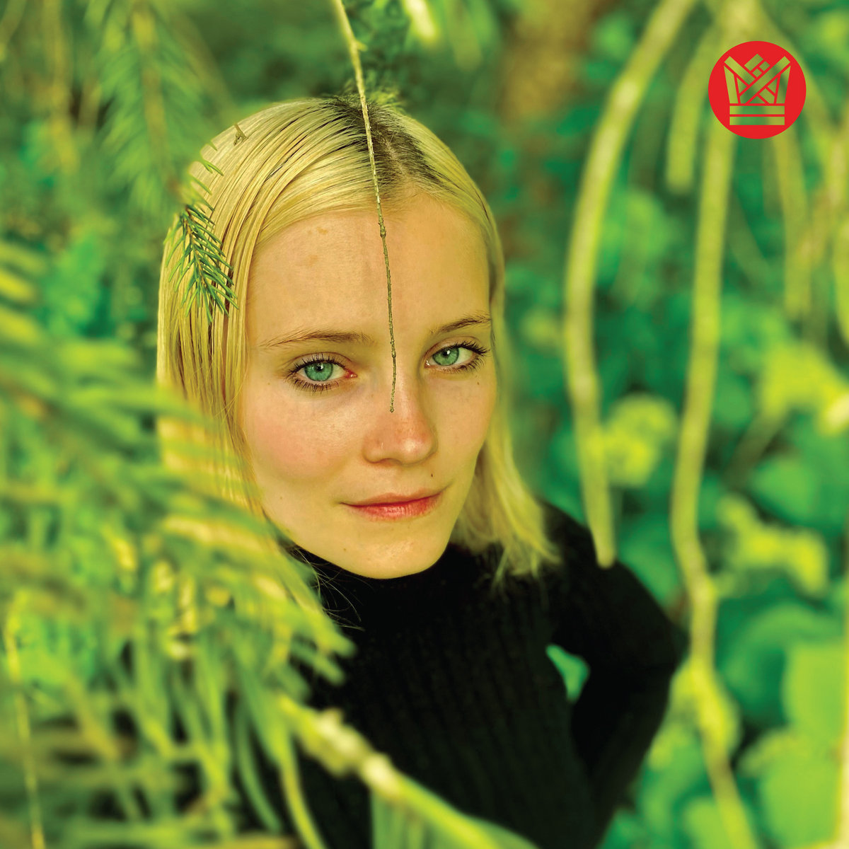 Got To Be Christmas | The Shacks