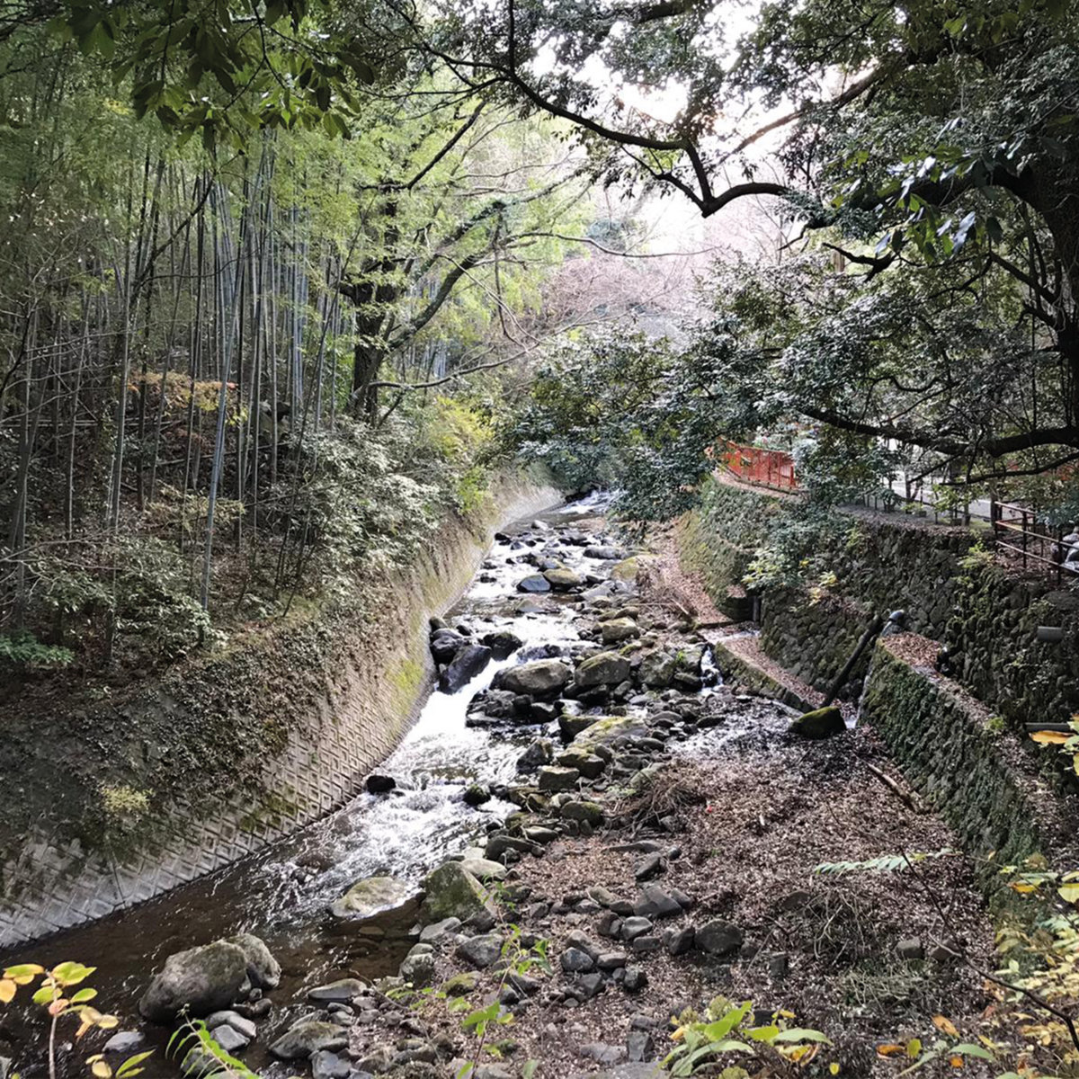 Relax | Michael Goodchild | Peace Sanctuary