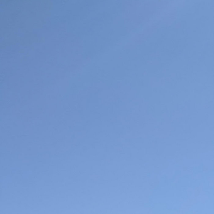 Hibernation | Jake Maas