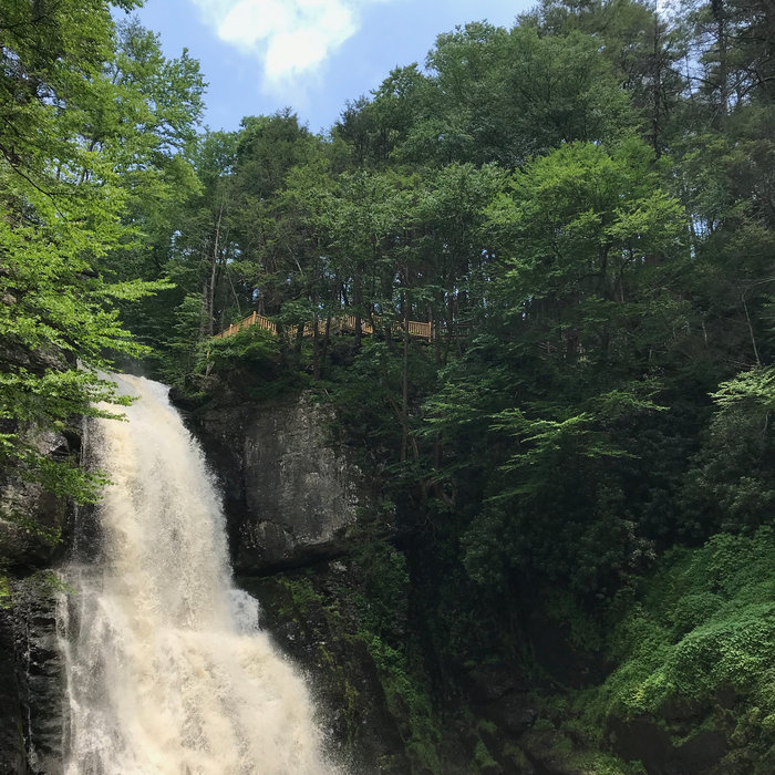 Grok Rock Demos | Grok