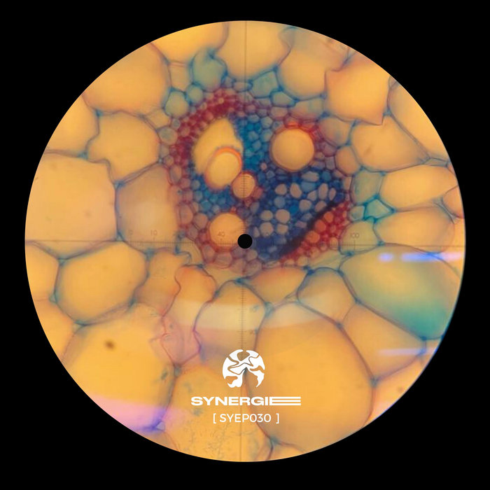 Disclosure Pattern [SYEP030] | Colum Urton | Synergie