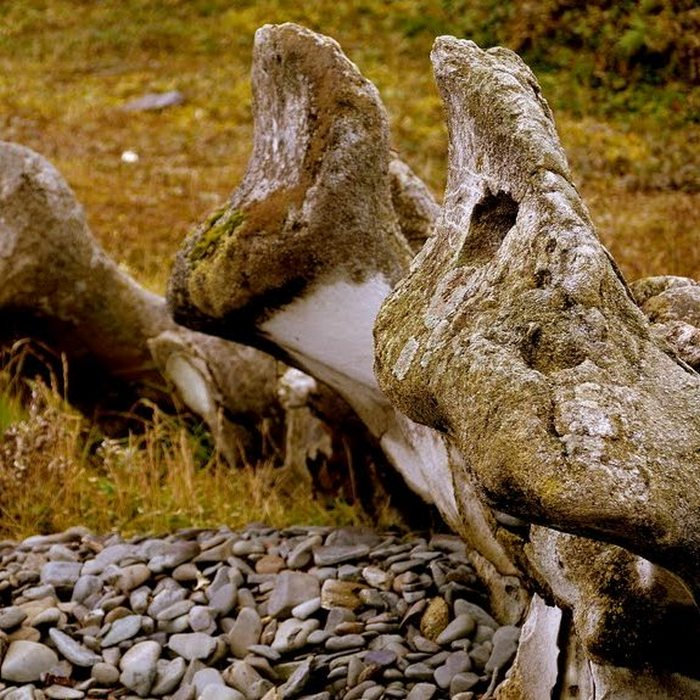 Birds of Naukan | Creation VI & Ugasanie | Ugasanie