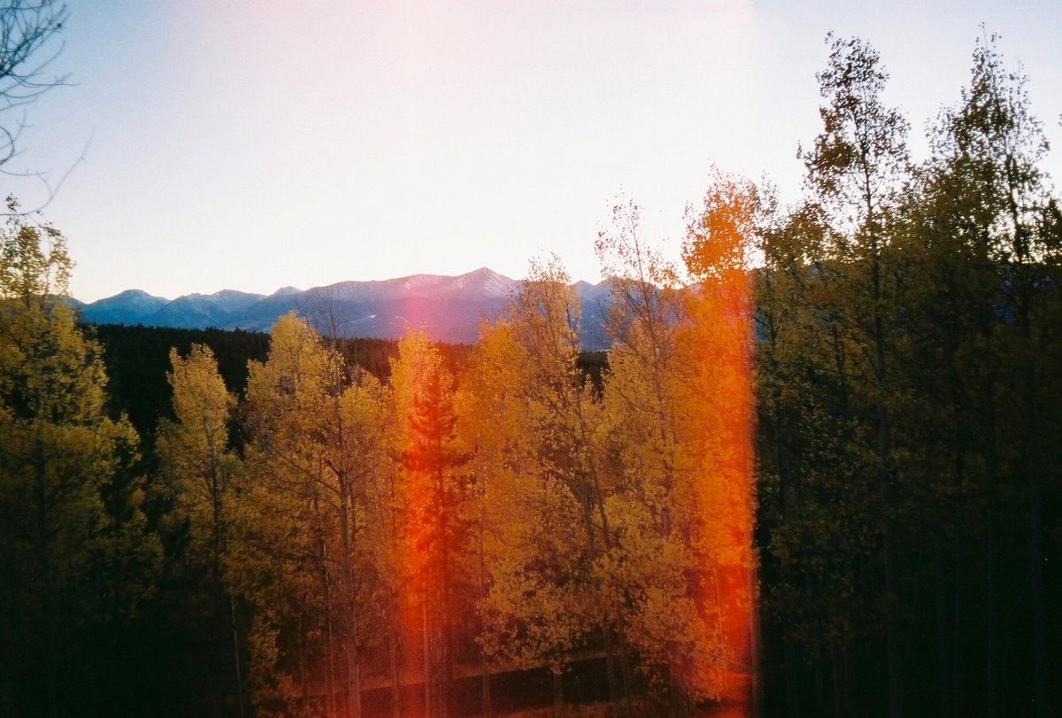 Demos | Alex Randall