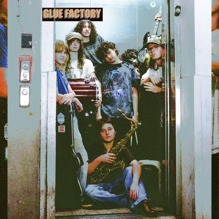 Glue Factory | OOGWEI