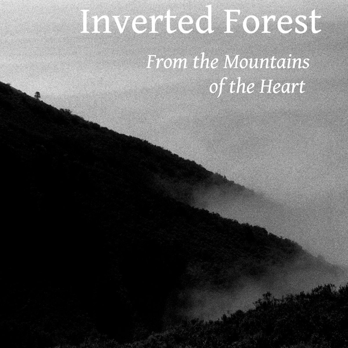 From the Mountains of the Heart | Inverted Forest