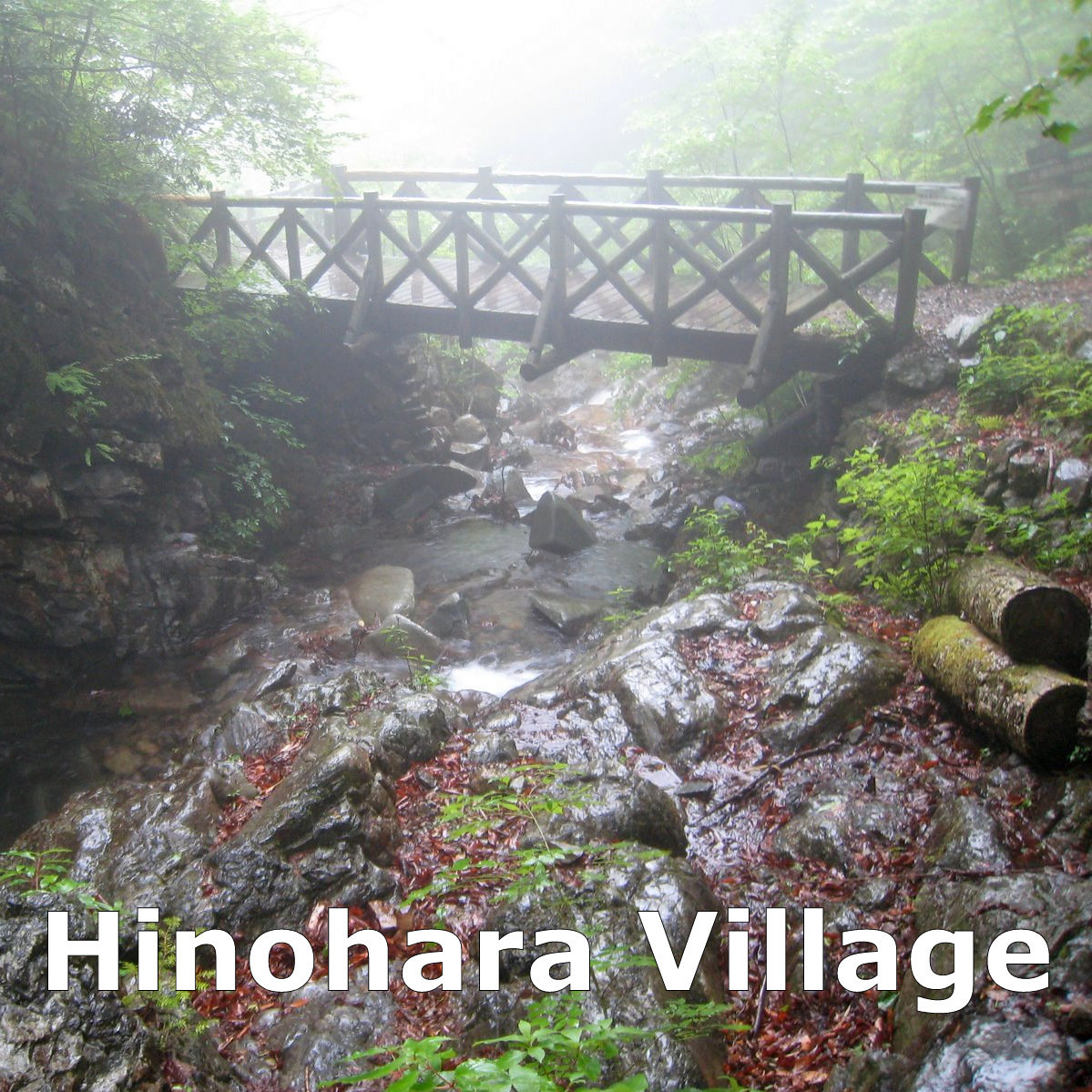 Hinohara Village | Nature Sounds Society Japan (NSSJP)