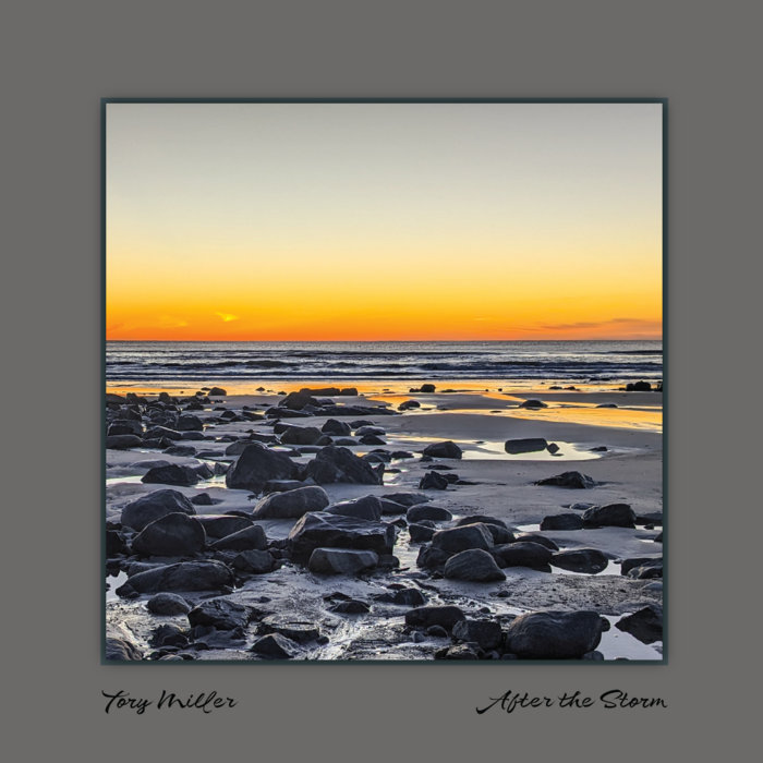After the Storm | Tory Miller