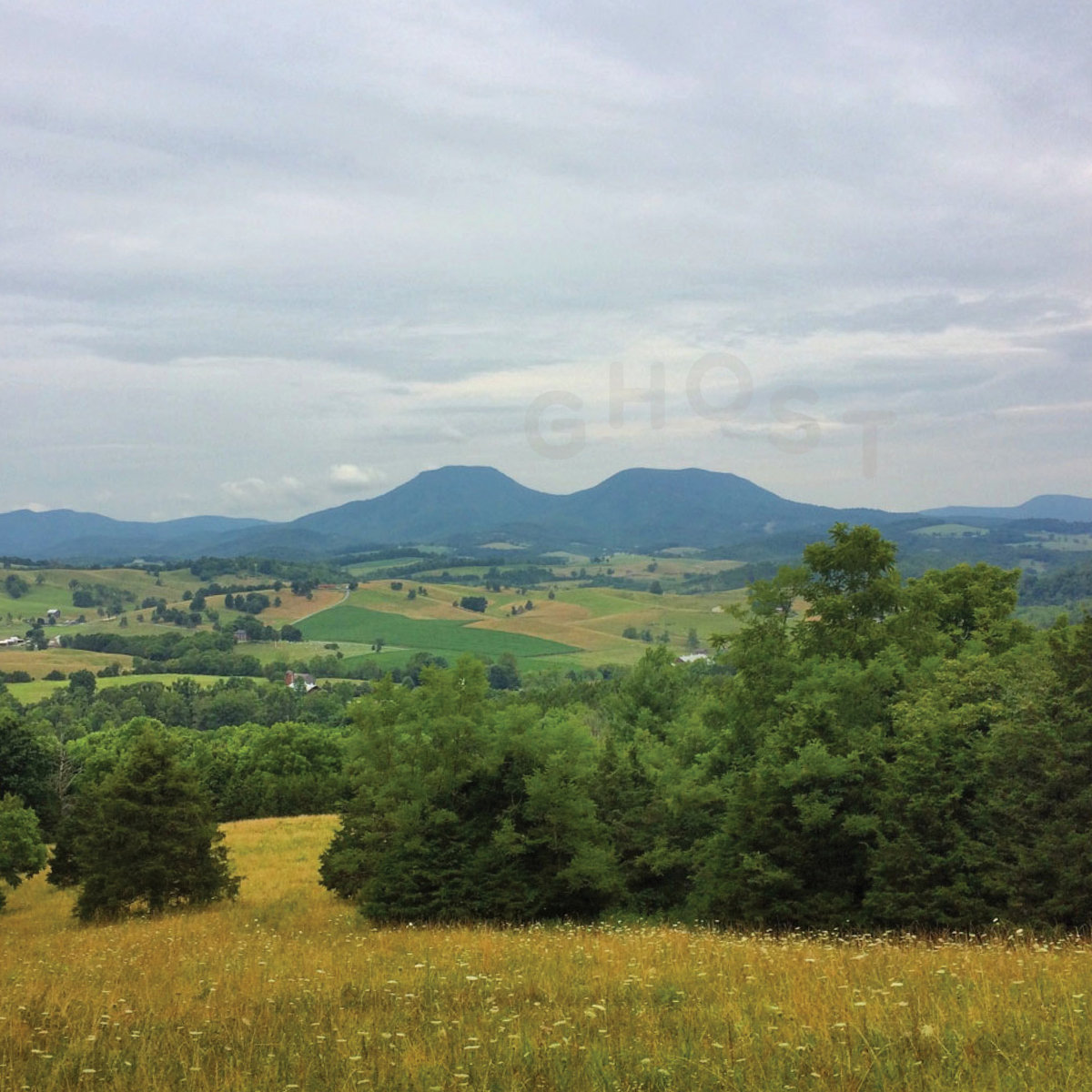 Cool Ghost | Cool Ghost | Matt Leech