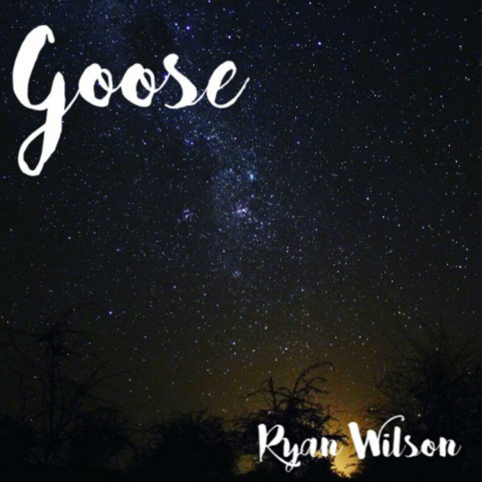 Goose - Ryan Wilson | The Pie Plan