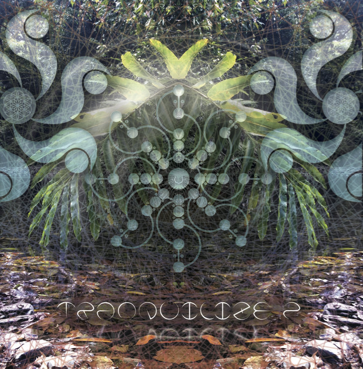 Tranquilize 2 | Various Artists | Cerebral Meltdown Records