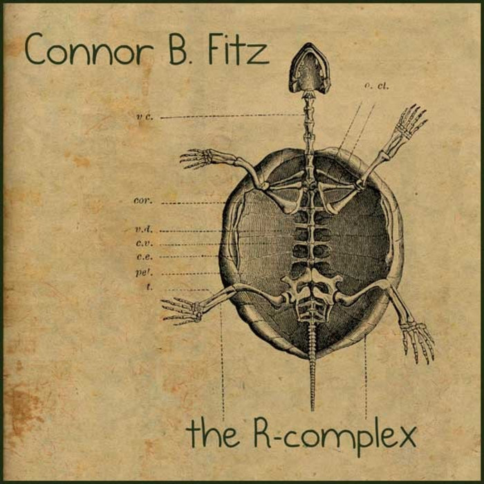 The R-Complex | Connor B. Fitz