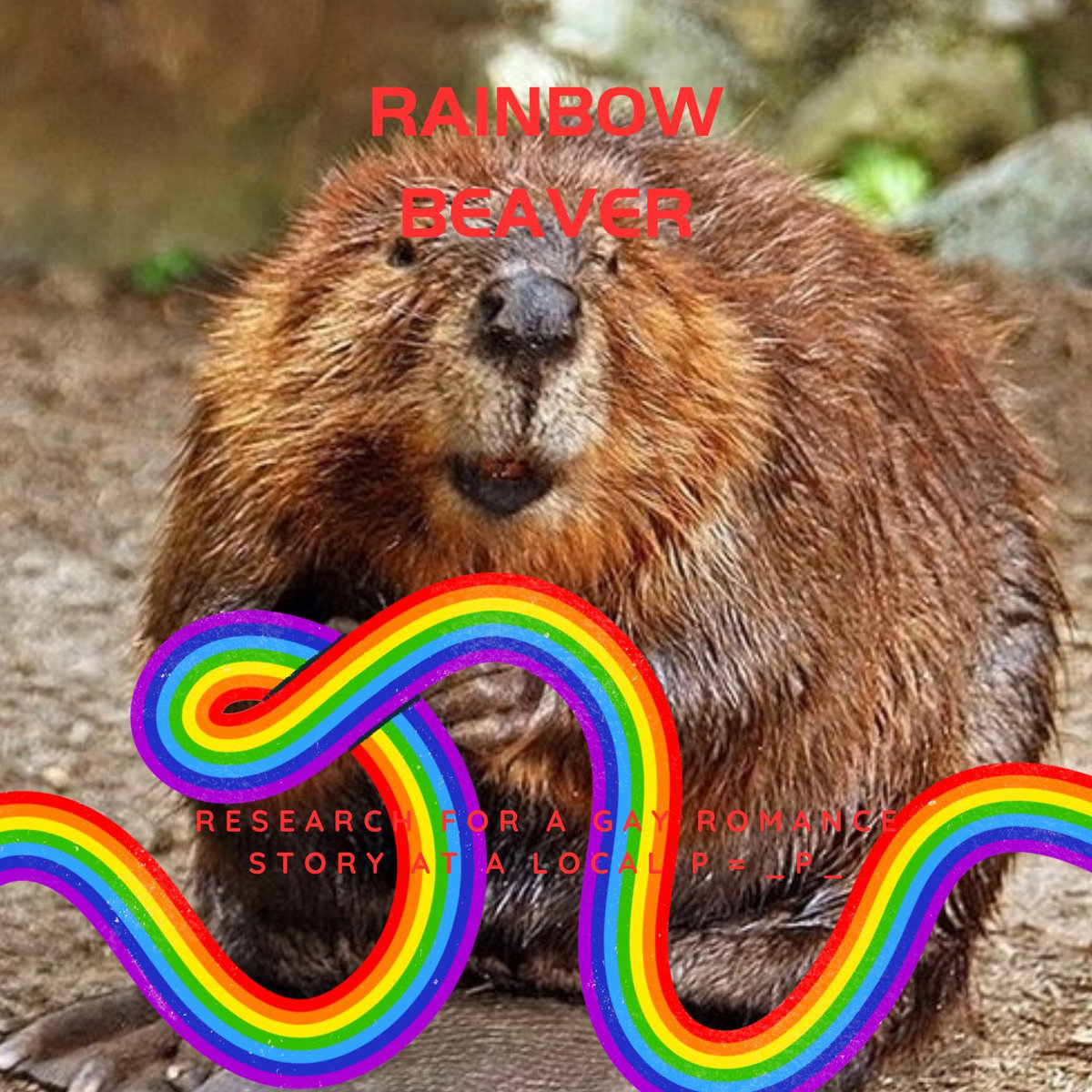 Research for a Gay Romance Story at a local P=_P_ | Rainbow Beaver ...