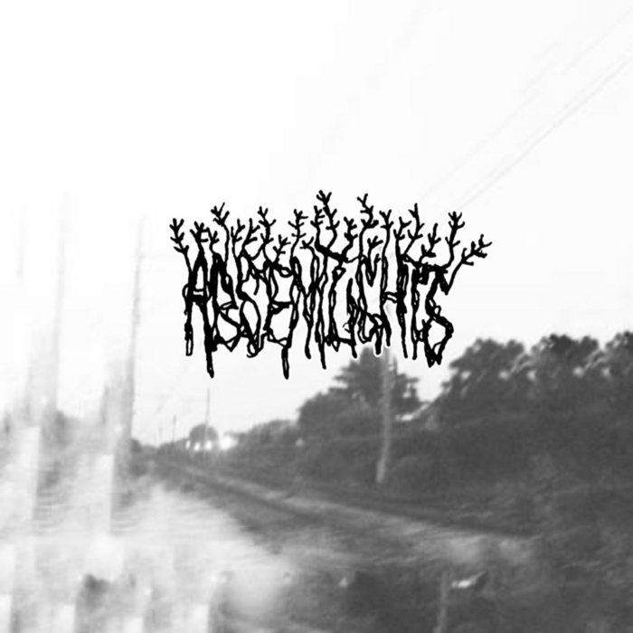 Absent Life | Absent Lights