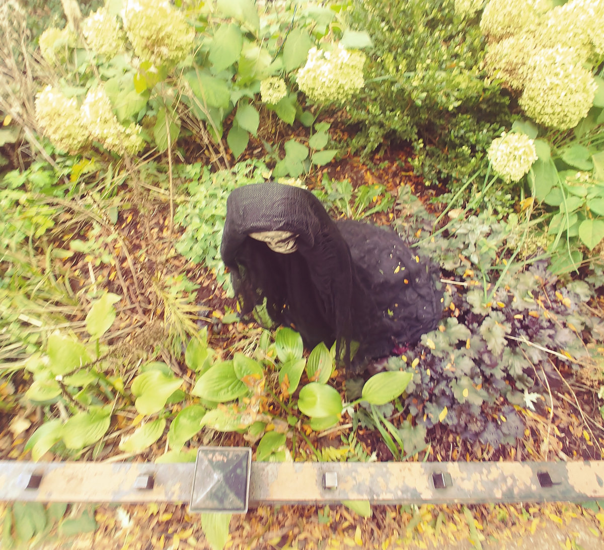 THE EXCAVATION | kevin drumm