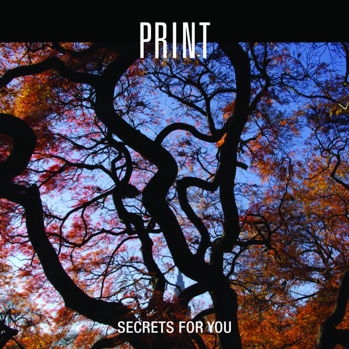 Print - Secrets For You | Sylvain Cathala