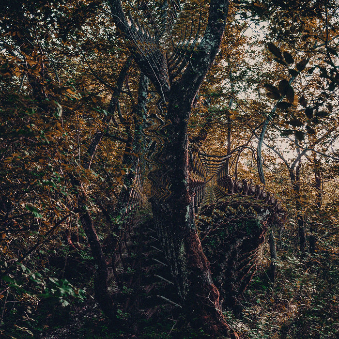 Thought catcher | Clearlight