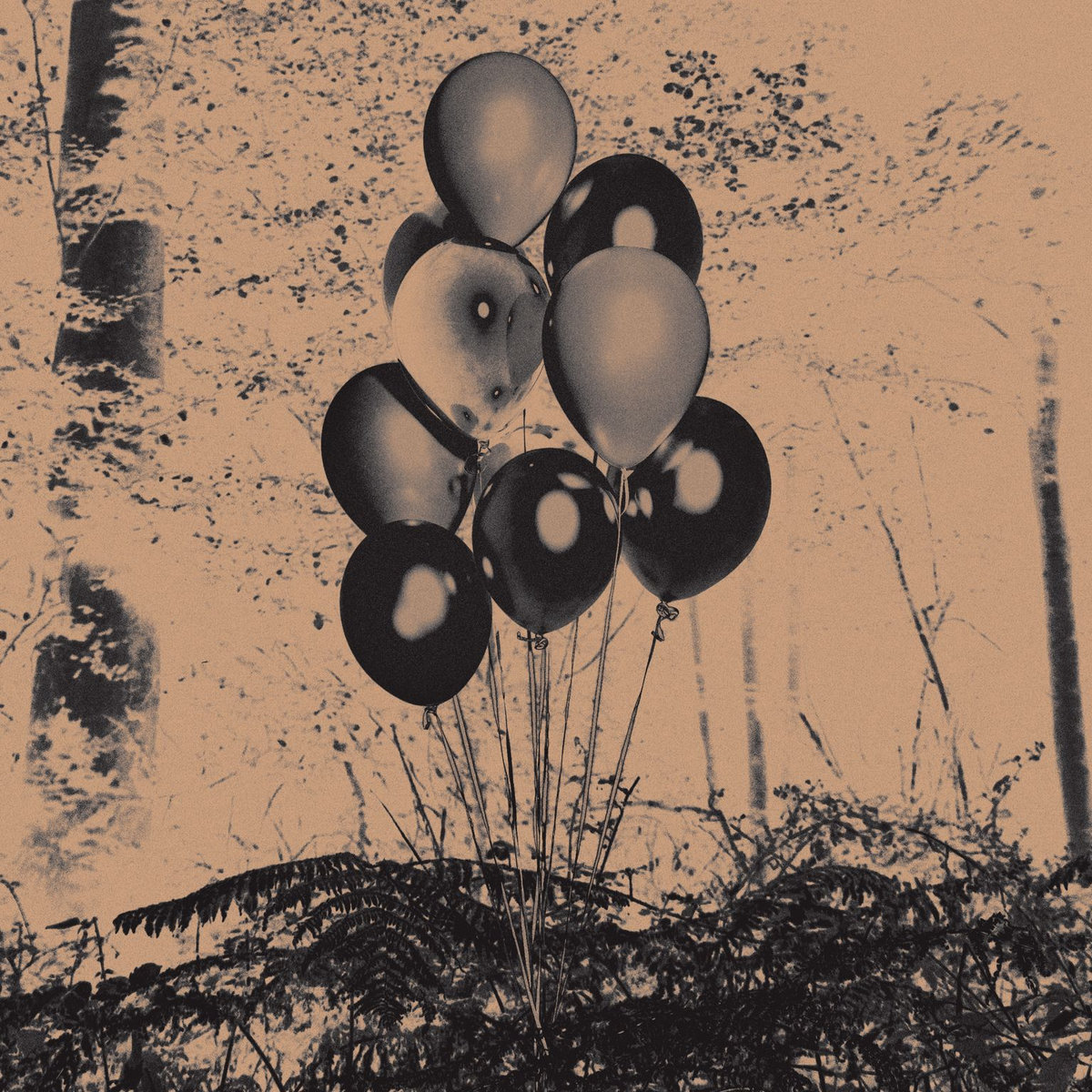 Aulus I & II | Poltrock | whitelabrecs