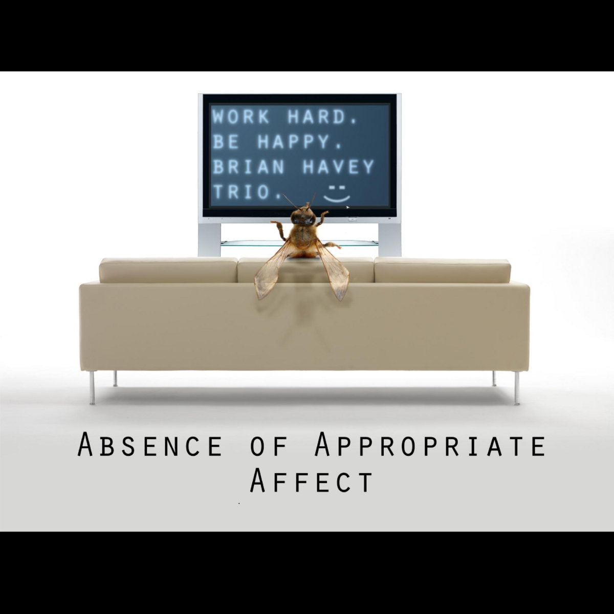 Absence of Appropriate Affect | Brian Havey Trio | brianhavey