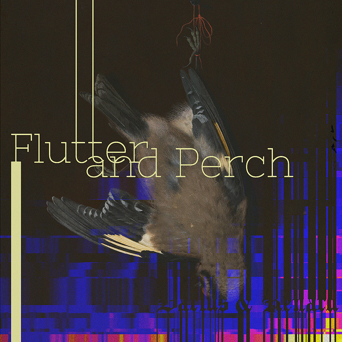 Flutter and Perch | Darius & Renard | HALLEY LABS