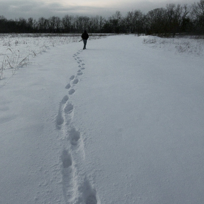 Winter (Free Version) | November Bones