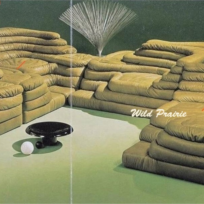 wild prairie | goldenhostage