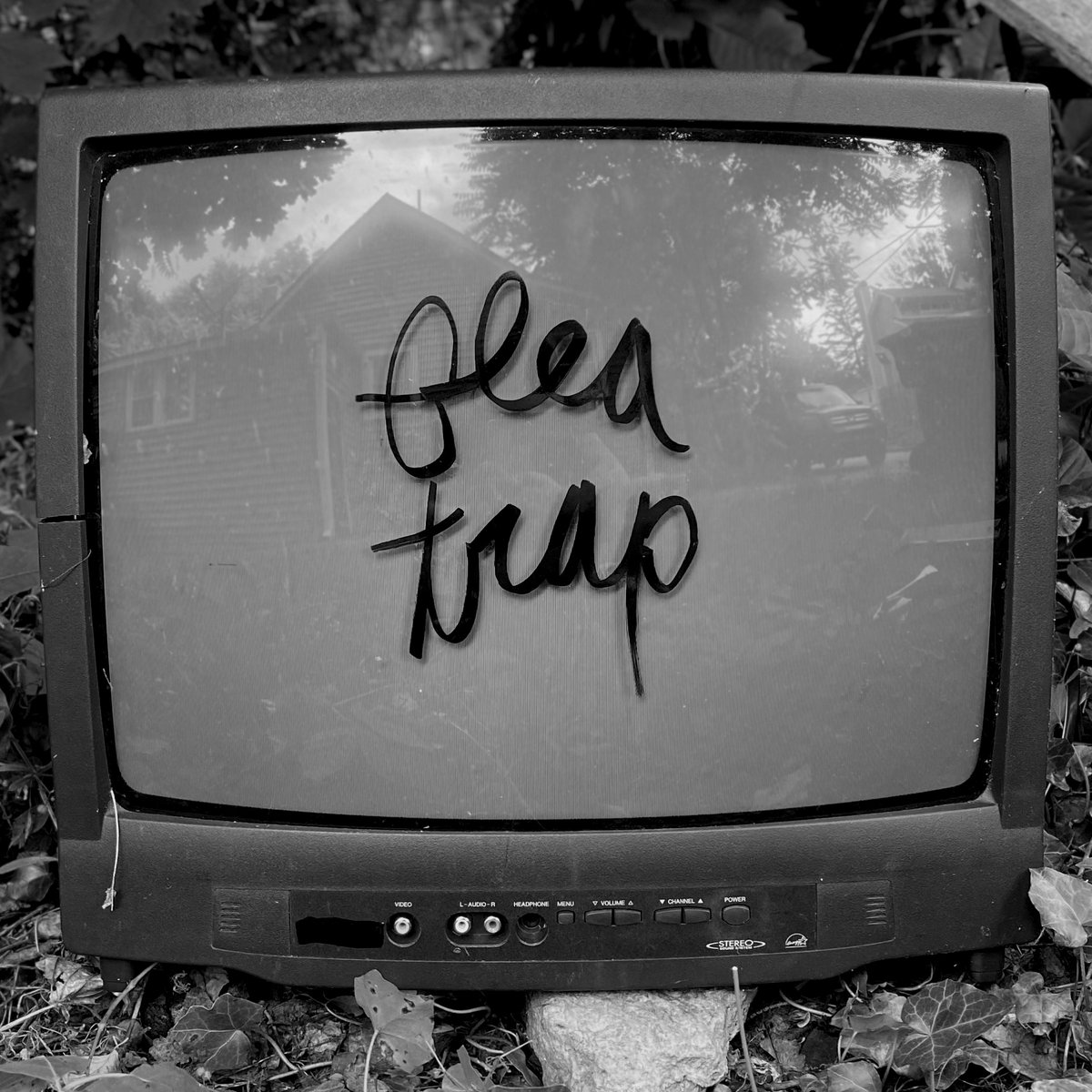 Flea Trap | flea trap