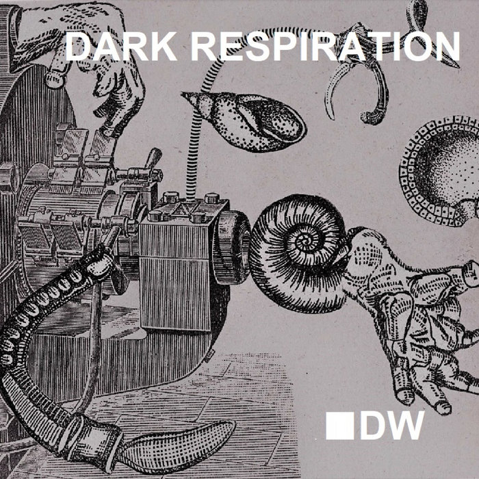 Dark Respiration | david wallraf