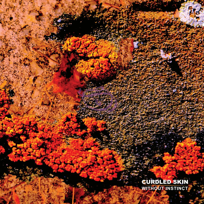 Without Instinct | Curdled Skin