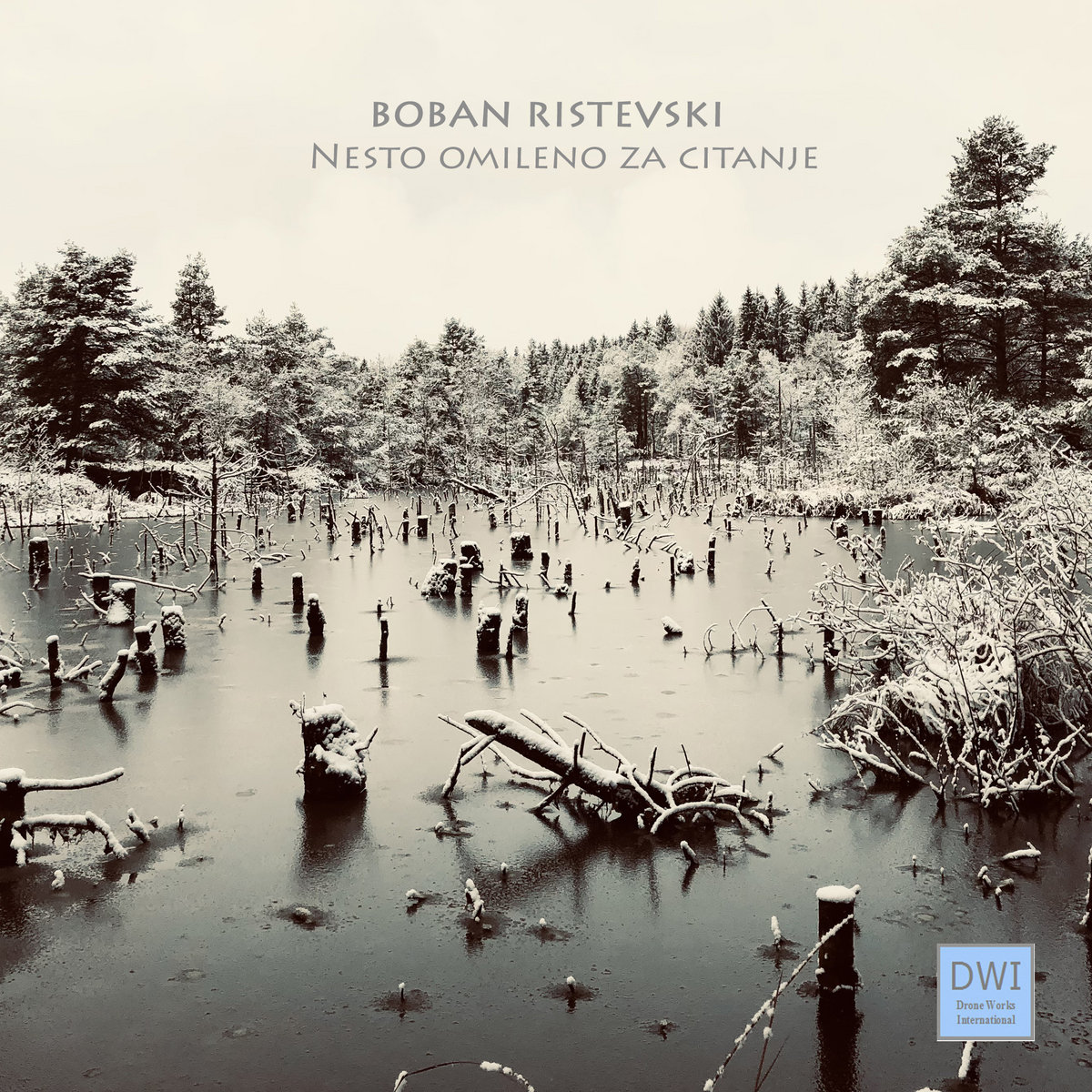 Boban Ristevski - Nesto omileno za citanje | Drone Works International