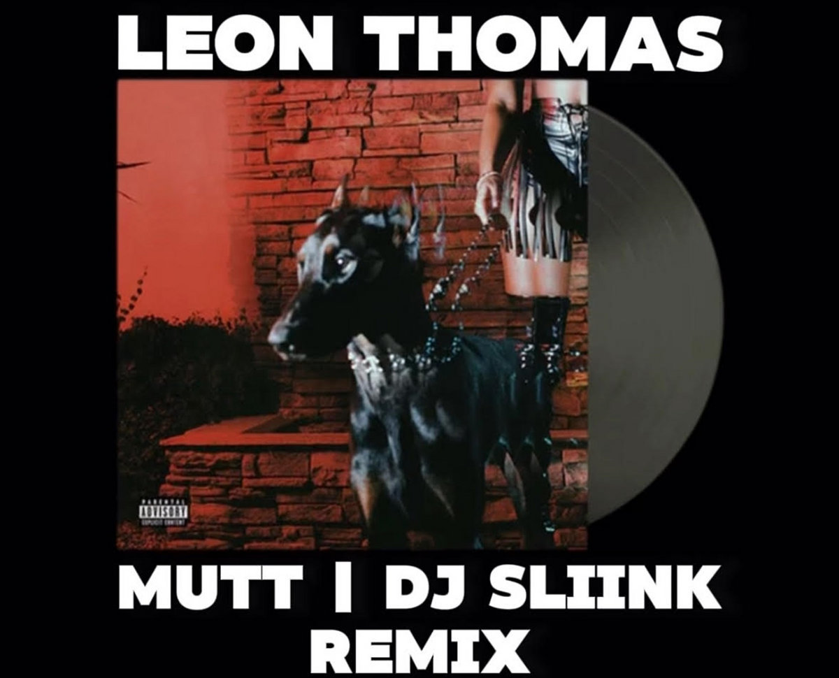 Leon Thomas - Mutt (DJ Sliink Remix) | DJ Sliink