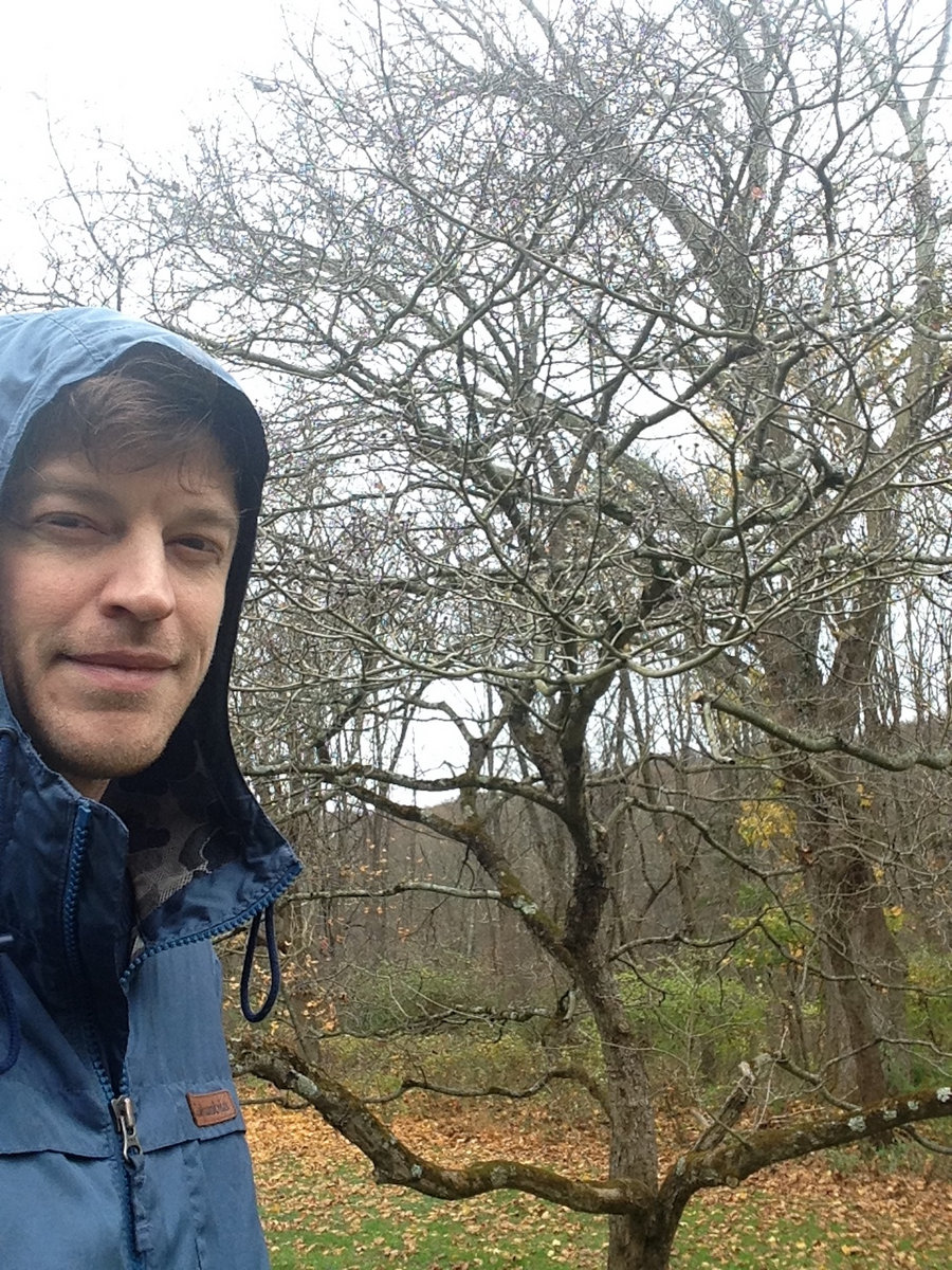 Inherent | Dann Pell