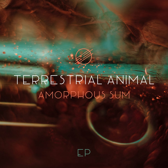 Amorphous Sum | Terrestrial Animal