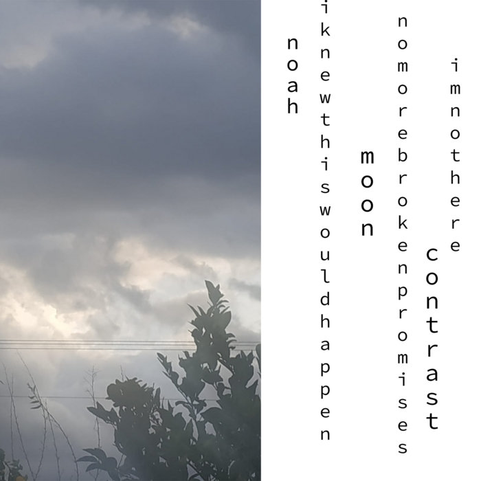 contrast | noah moon