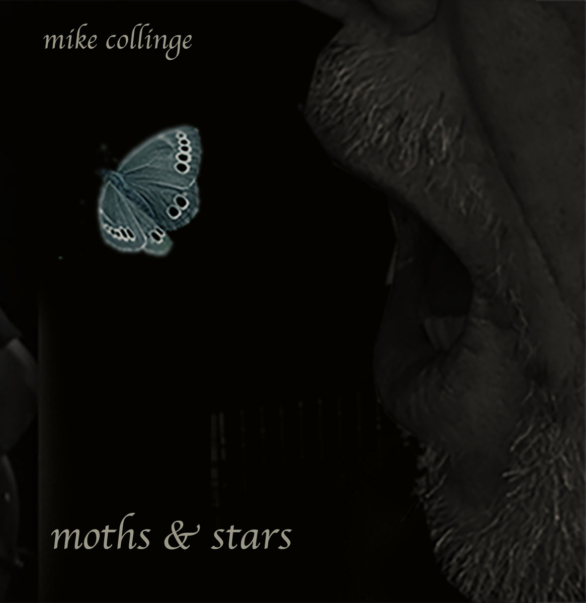 Moths & Stars | Mike Collinge
