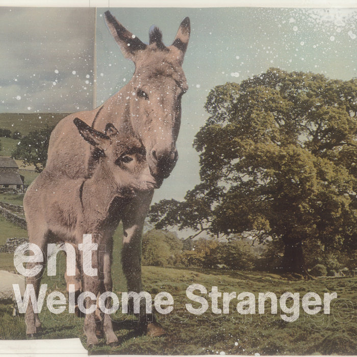 Welcome Stranger | ent | n5MD