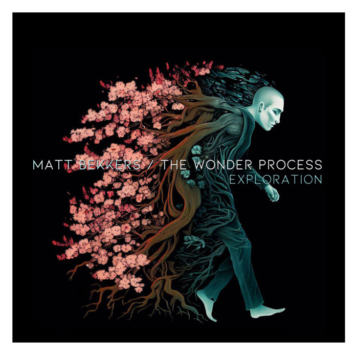 The Wonder Process: Exploration | Matt Bekkers