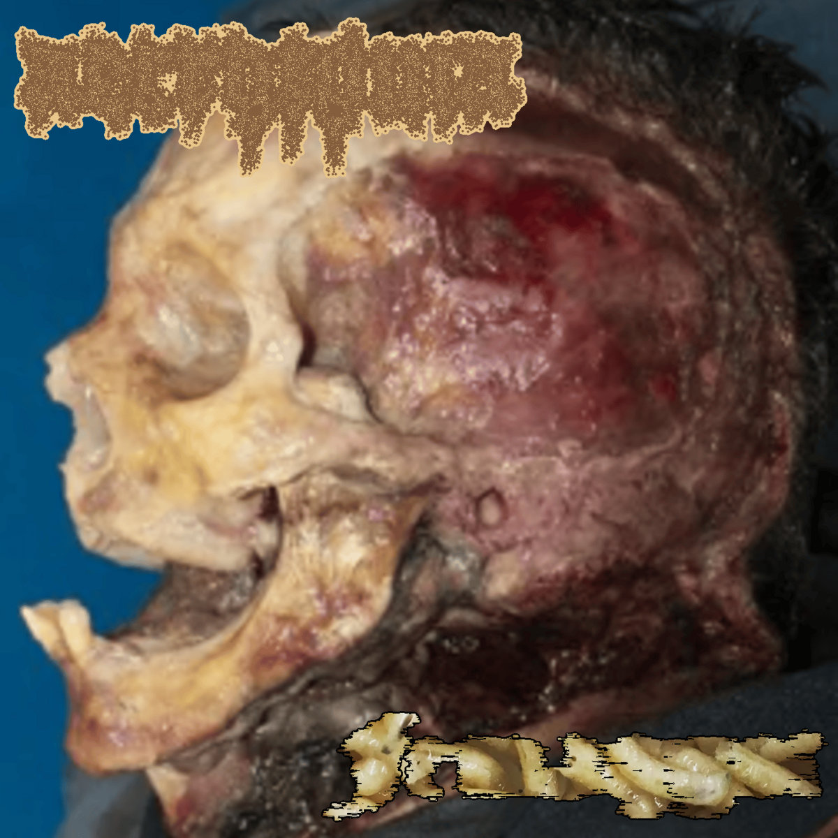 Of Maggots And Men: SPLIT WITH FEMAGGOT | NECROTOMA, FEMAGGOT | NECROTOMA