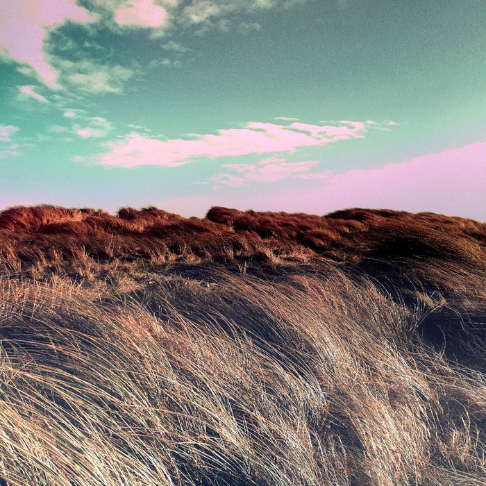 You Will Drift Home | Adam Fleming