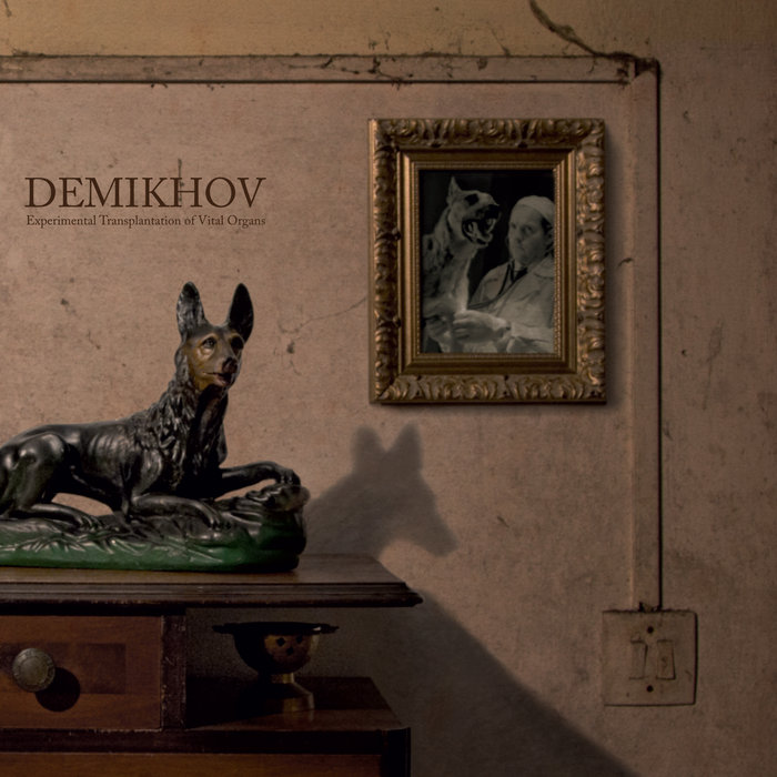 Experimental Transplantation of Vital Organs | Demikhov