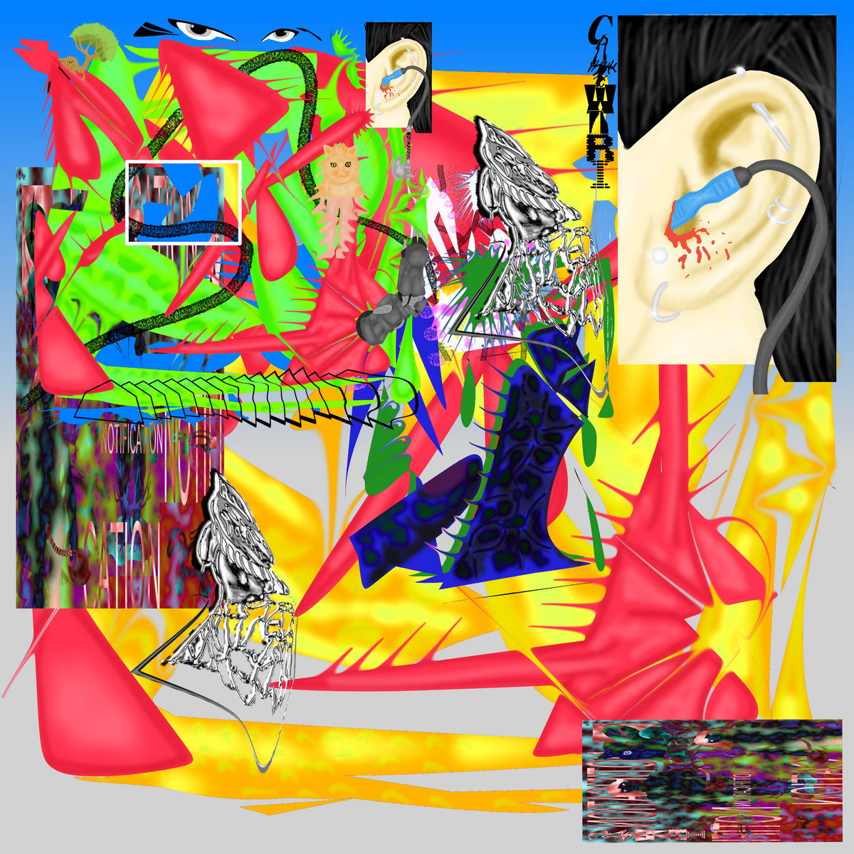 Notification, Notification, Notification | CATWARI | Narimo Records