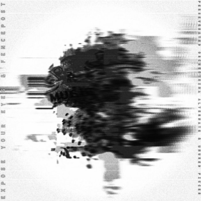 Perseverated Orchestrina - Alternate & Unused Pieces | EXPOSE YOUR EYES ...