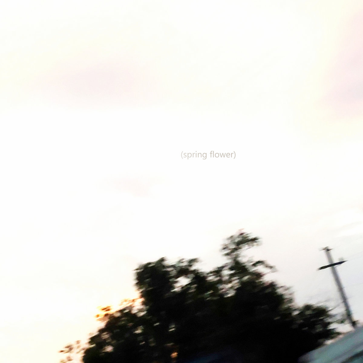 Paper Clip | Spring Flower