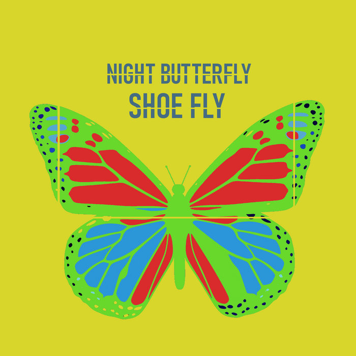 Night Butterfly | Shoe Fly