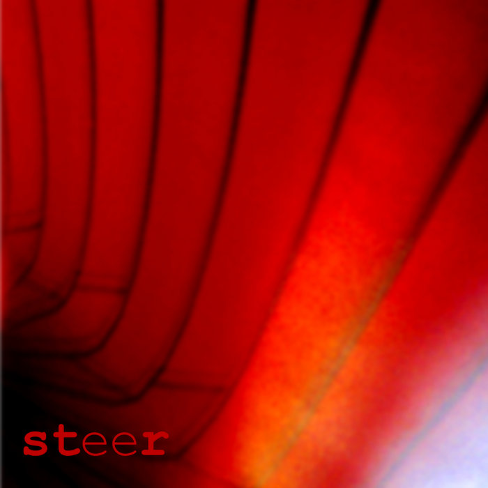 Steer | Andrew McCubbin