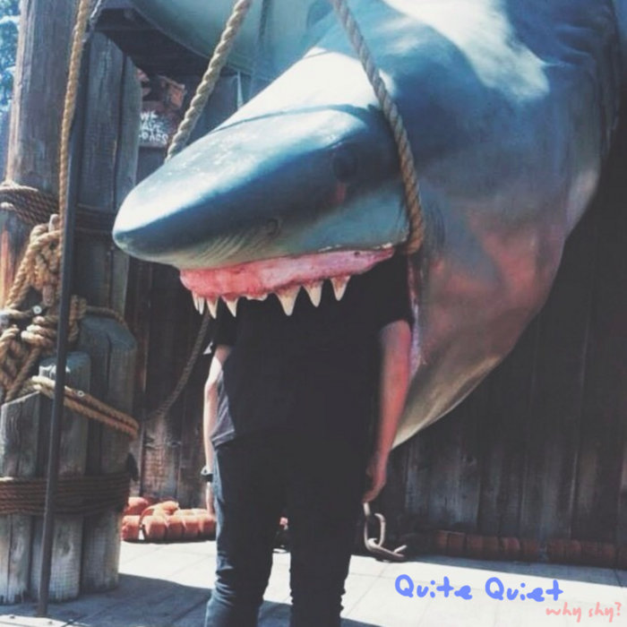 why shy? (single) | Quite Quiet